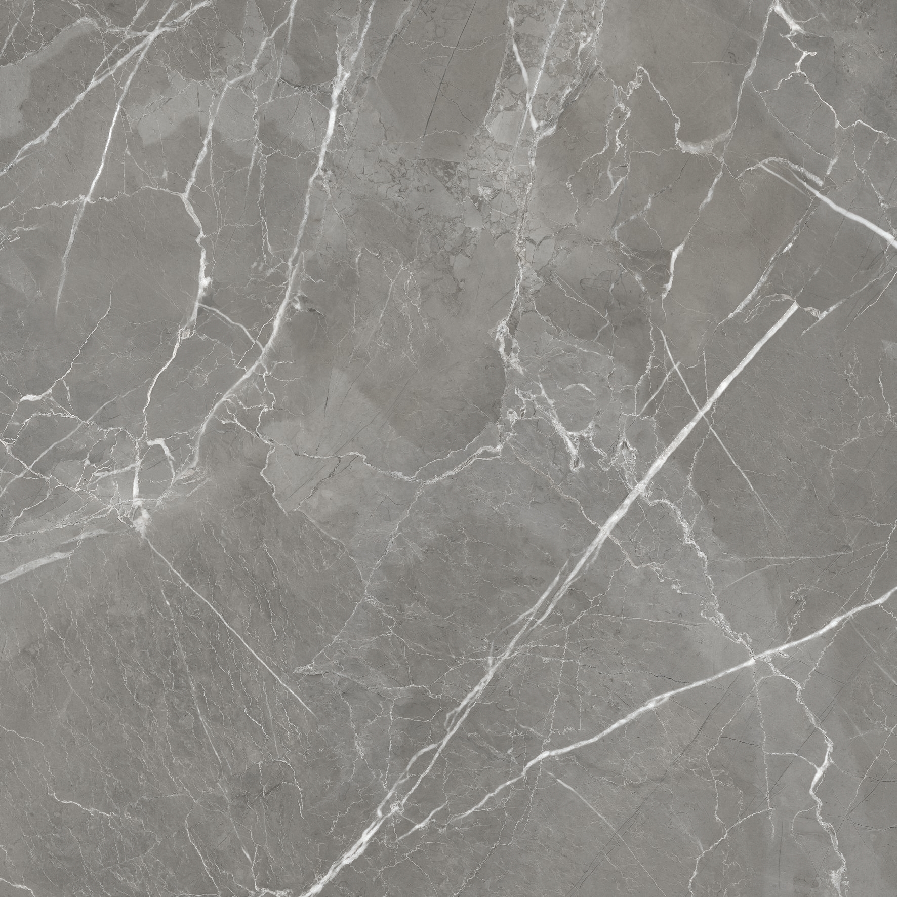 ASCOT GREY RECT, 80X80 | TILEFLY